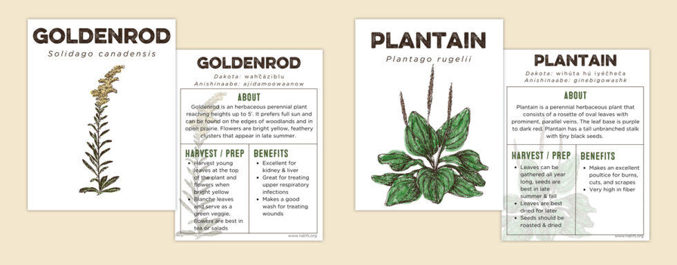 Indigenous Chef Sean Sherman’s NATIFS Headlines Q2 Grants - NWAF.org